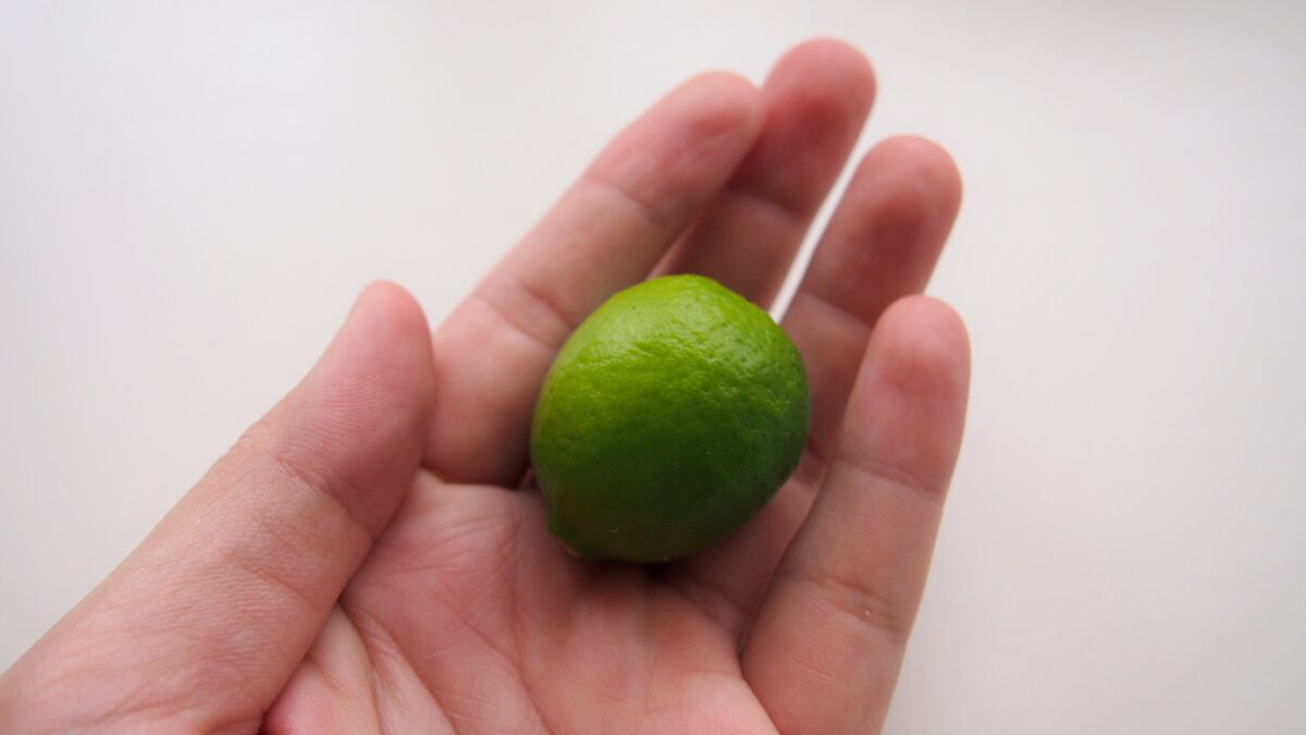 Key Limes – only when grown in the Florida Keys – CARRY IT LIKE HARRY
