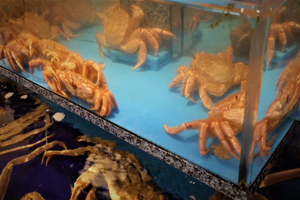 Carry It Like Harry – Crab lovers Kani Doraku かに道楽 – CARRY IT LIKE HARRY