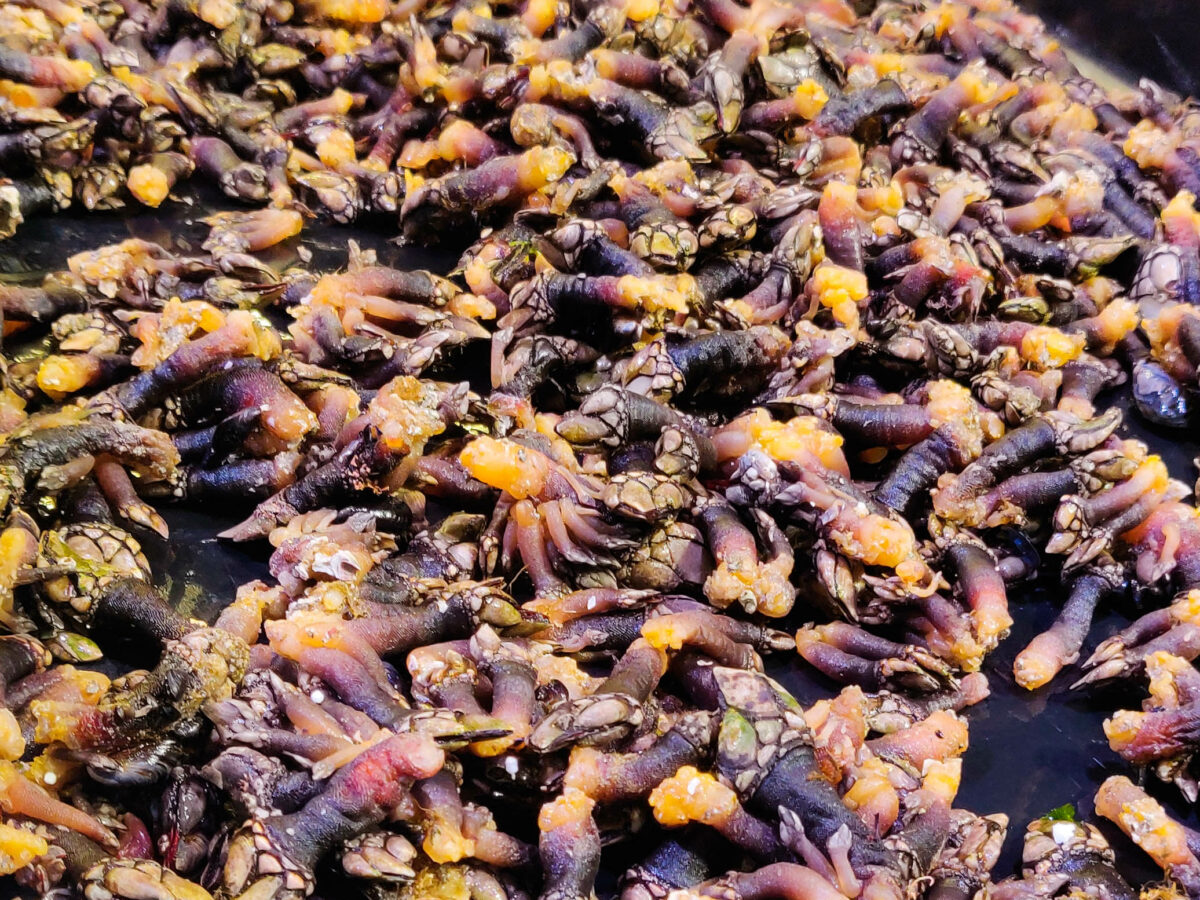 Bilbao: Bask in the Basque Hospitality - CARRY IT LIKE HARRY