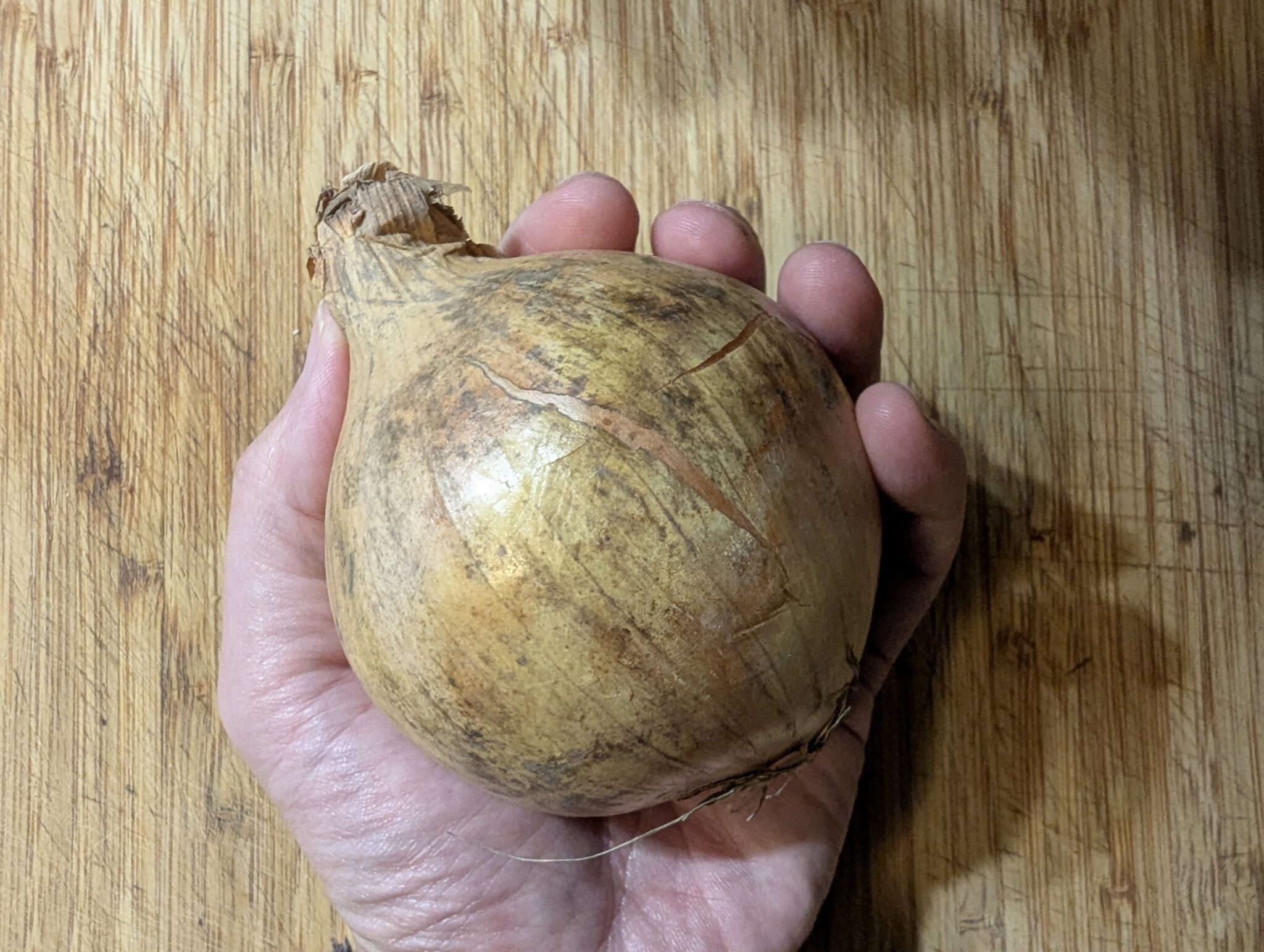 Ikan Pari Bakar: Malay Barbecued Stingray – CARRY IT LIKE HARRY